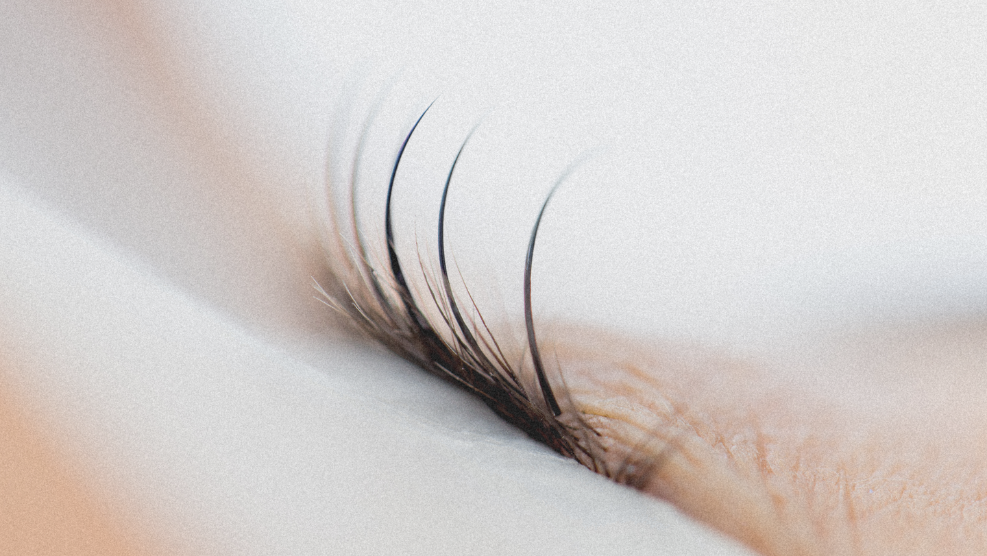 4 Pro Tips for Lash Artists to Create Perfect Wispy Lash Extensions ...