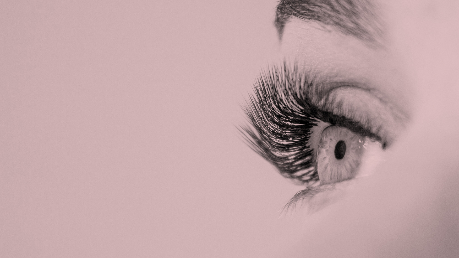 Proven Techniques to Establish a Unique Lash Brand – Lash Line