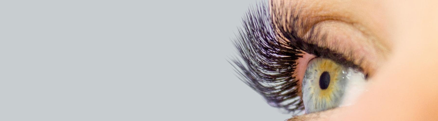 L Curl Lash Line